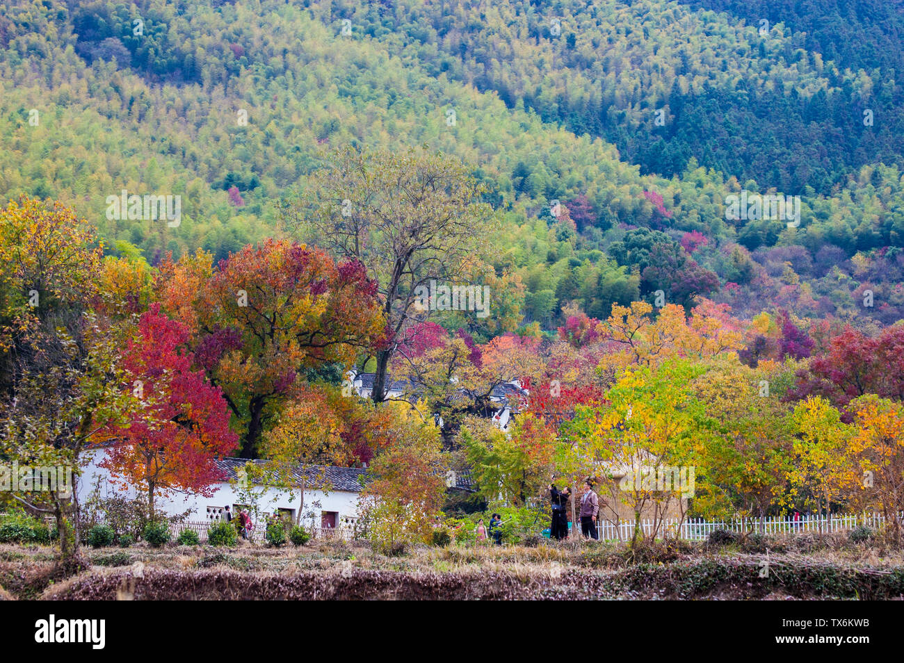 Sky and countryside color color scene scene vision tourism hi-res stock ...
