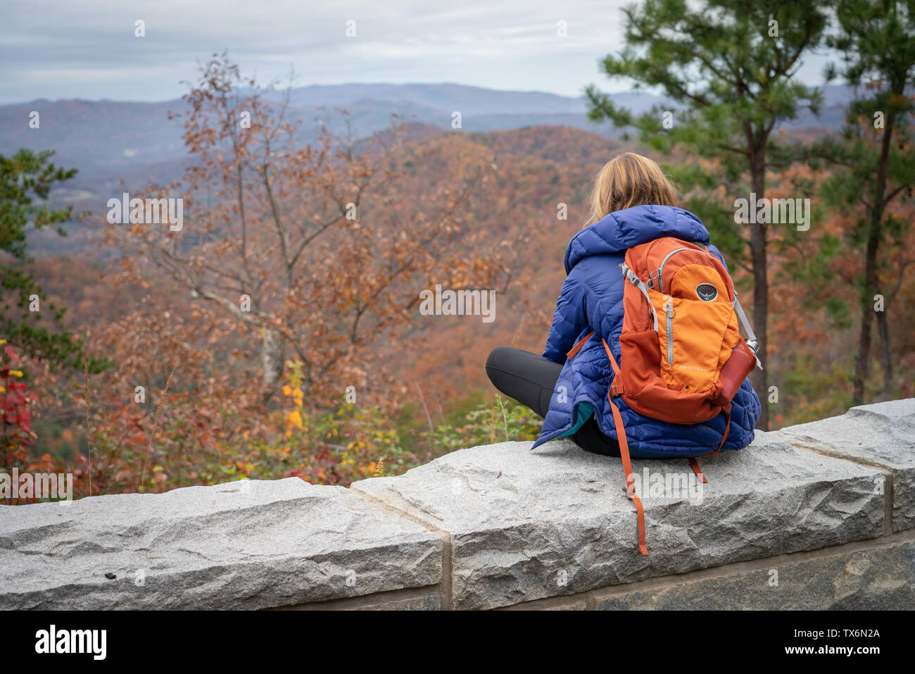 Back view young woman standing on mountain top looking view hi-res ...