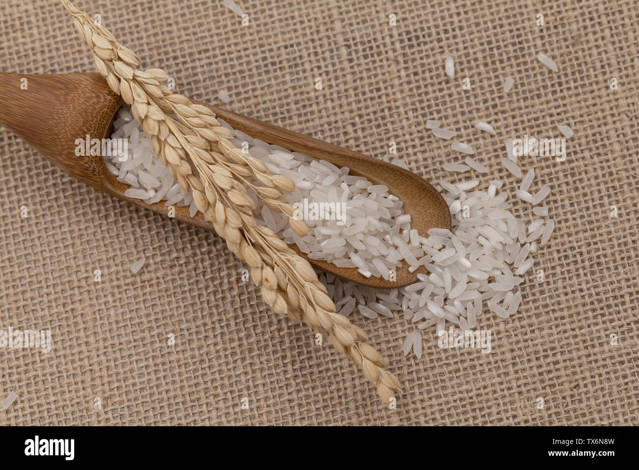 Rice creative photo Stock Photo - Alamy