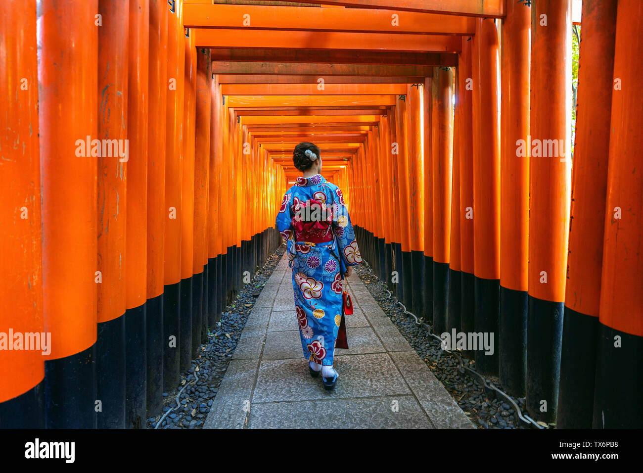 Japanese geisha fushimi inari shrine hi-res stock photography and ...