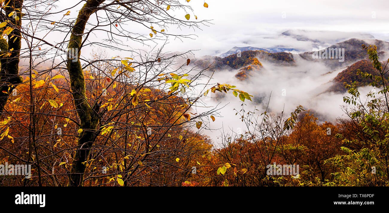 Dajiu hi-res stock photography and images - Alamy