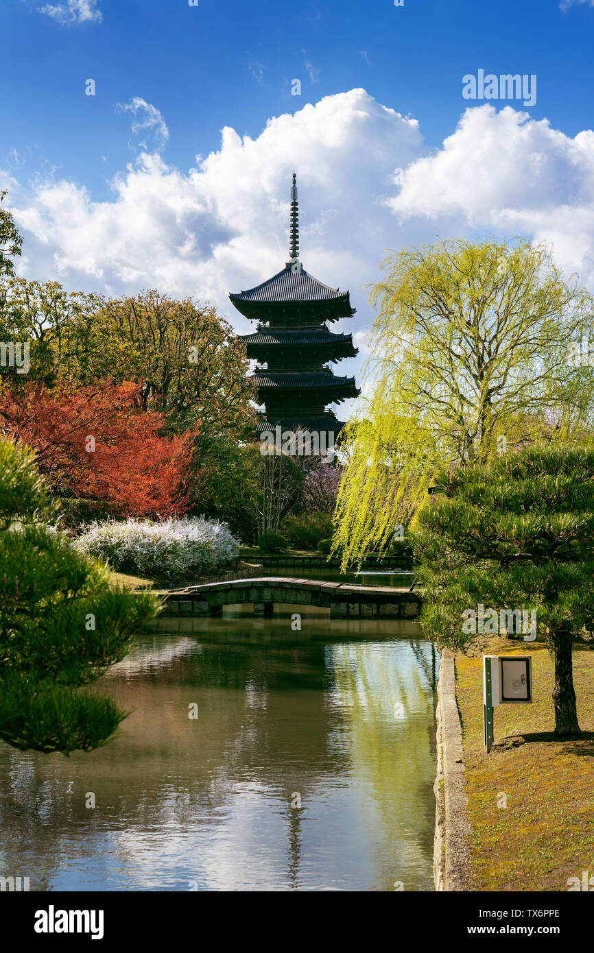 Pagoda of Toji temple, Kyoto in Japan Stock Photo - Alamy