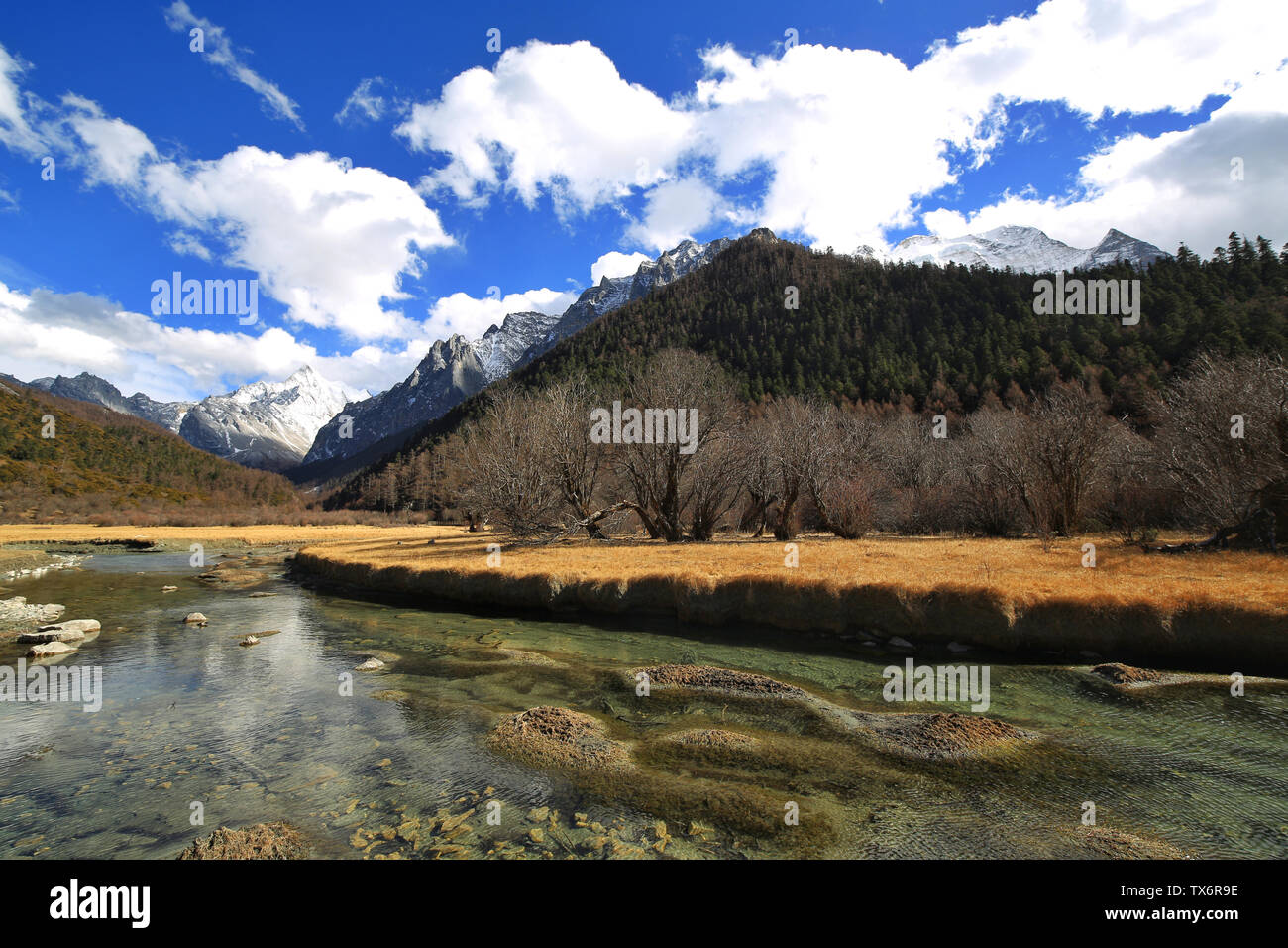 Yaden hi-res stock photography and images - Alamy