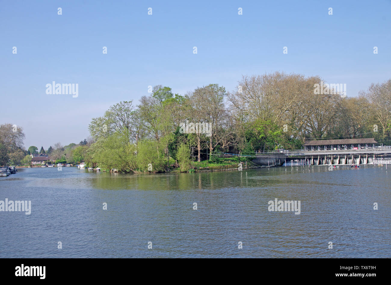 Weybridge River Thames Surrey Stock Photo - Alamy