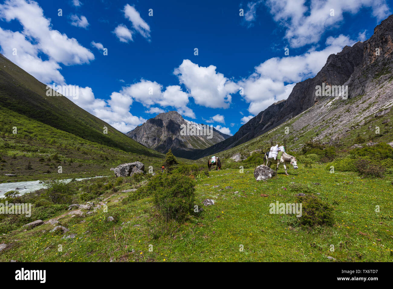 Gonga Snow Mountain Ring Line hikes scenery along the way Stock Photo ...