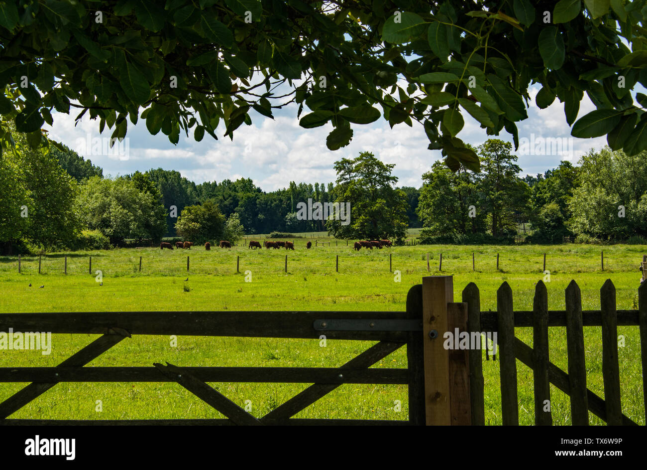Kent countryside scene Stock Photo - Alamy