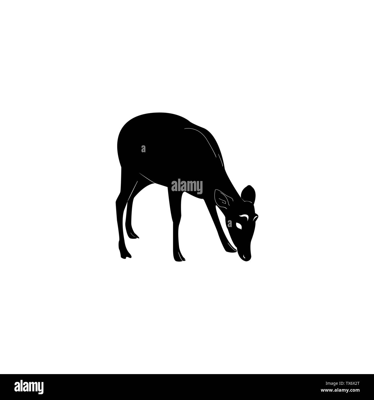 Beast forest Black and White Stock Photos & Images - Alamy