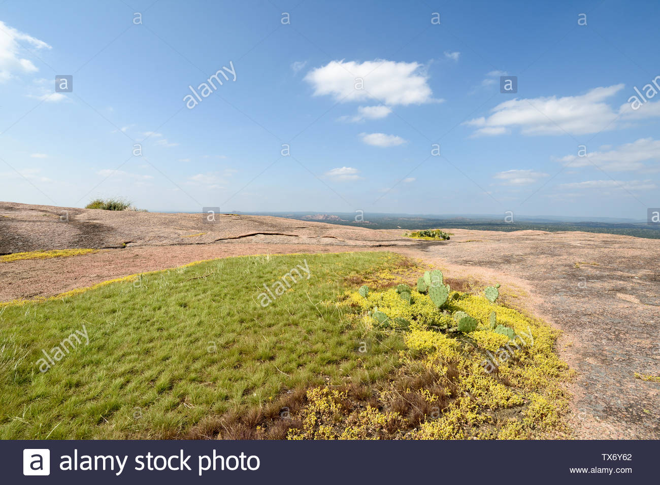 Rock Pool Ecosystem High Resolution Stock Photography and Images - Alamy