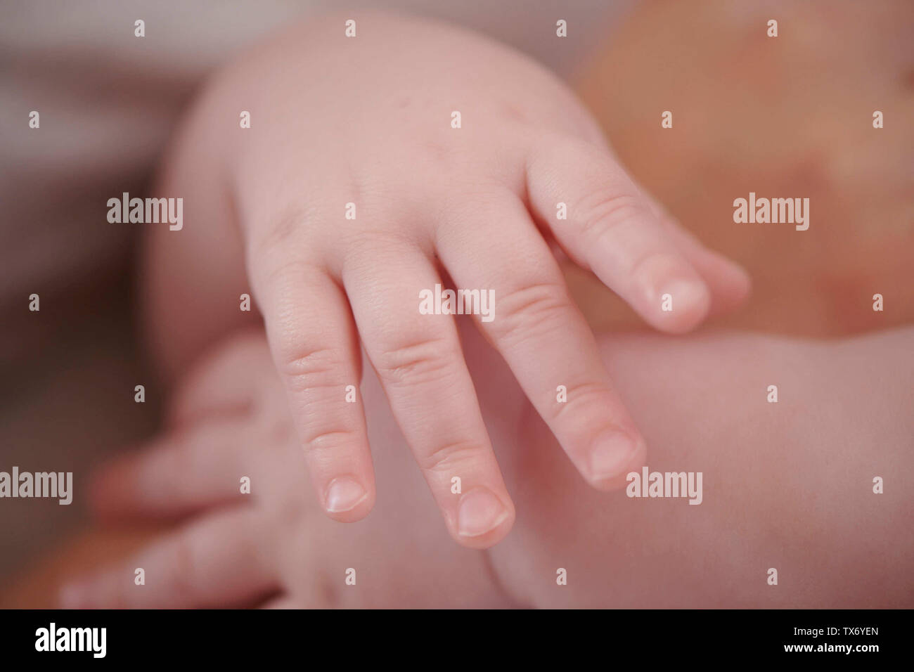 New born hands Stock Photo - Alamy