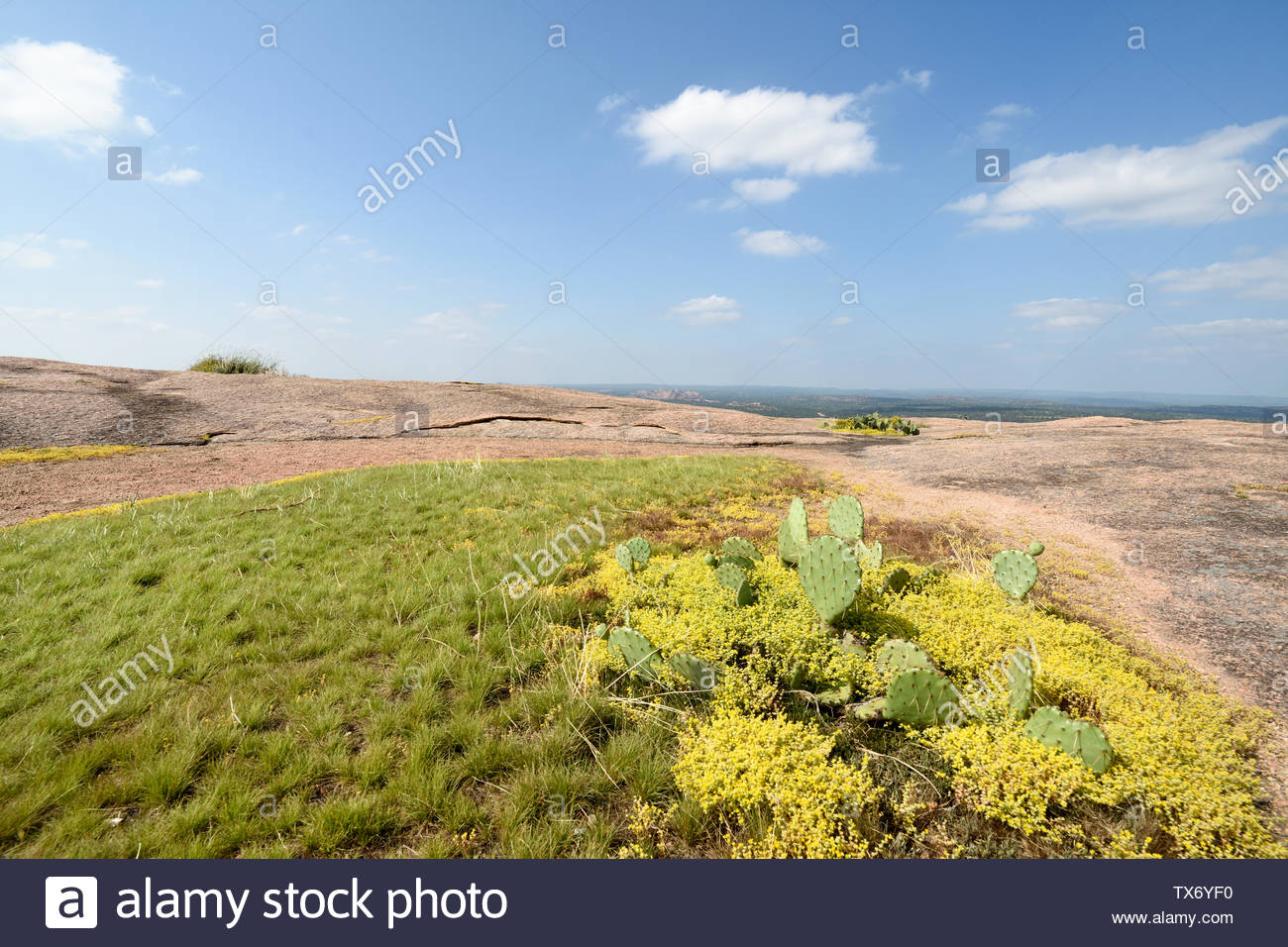 Rock Pool Ecosystem High Resolution Stock Photography and Images - Alamy