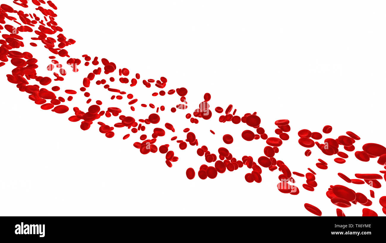 Human white and red blood cells Cut Out Stock Images & Pictures - Alamy