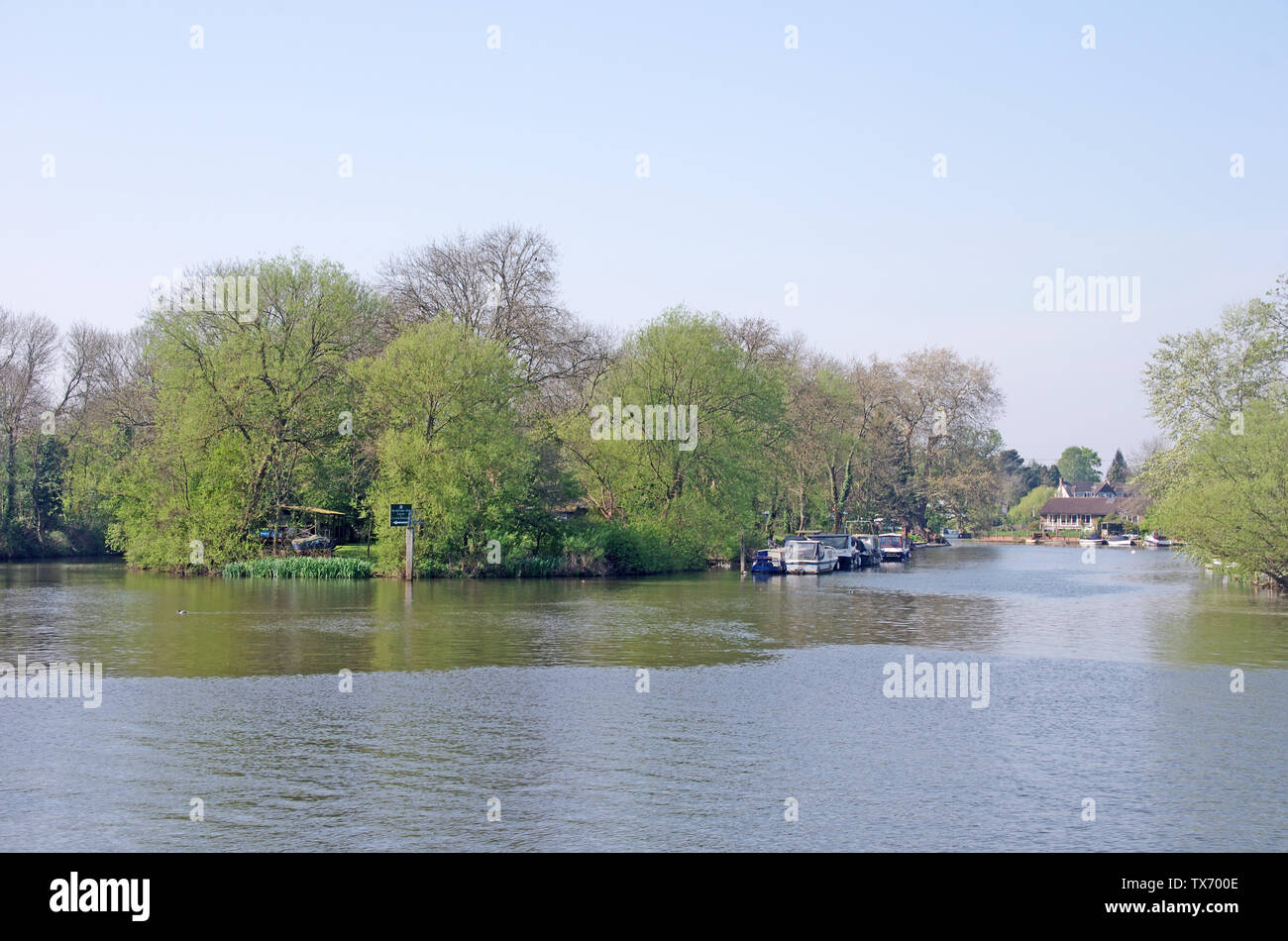 Weybridge River Thames Surrey Stock Photo - Alamy