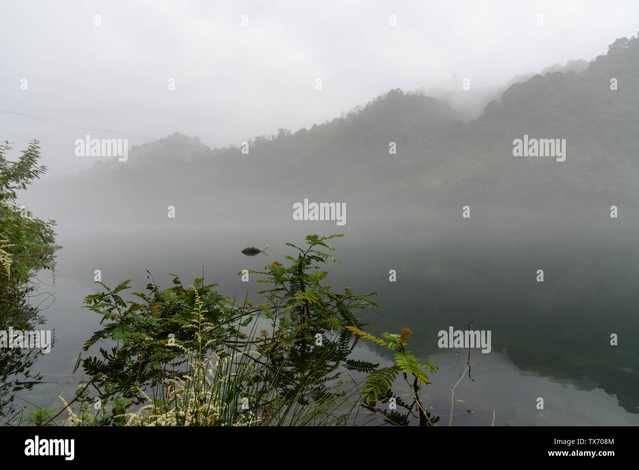 Xiao dongjiang fishing boat hi-res stock photography and images - Alamy