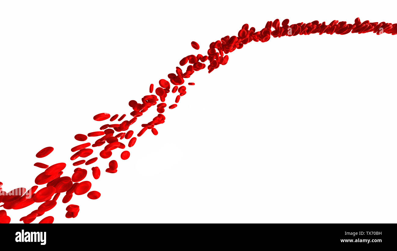 3d rendered medically accurate illustration of human blood cells Stock ...