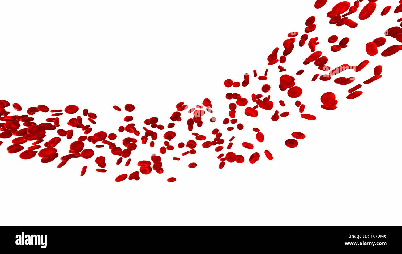 3d rendered medically accurate illustration of human blood cells Stock ...