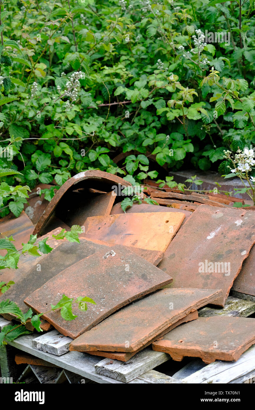 West Sussex, UK. Discarded and broken terracotta roof tiles being ...