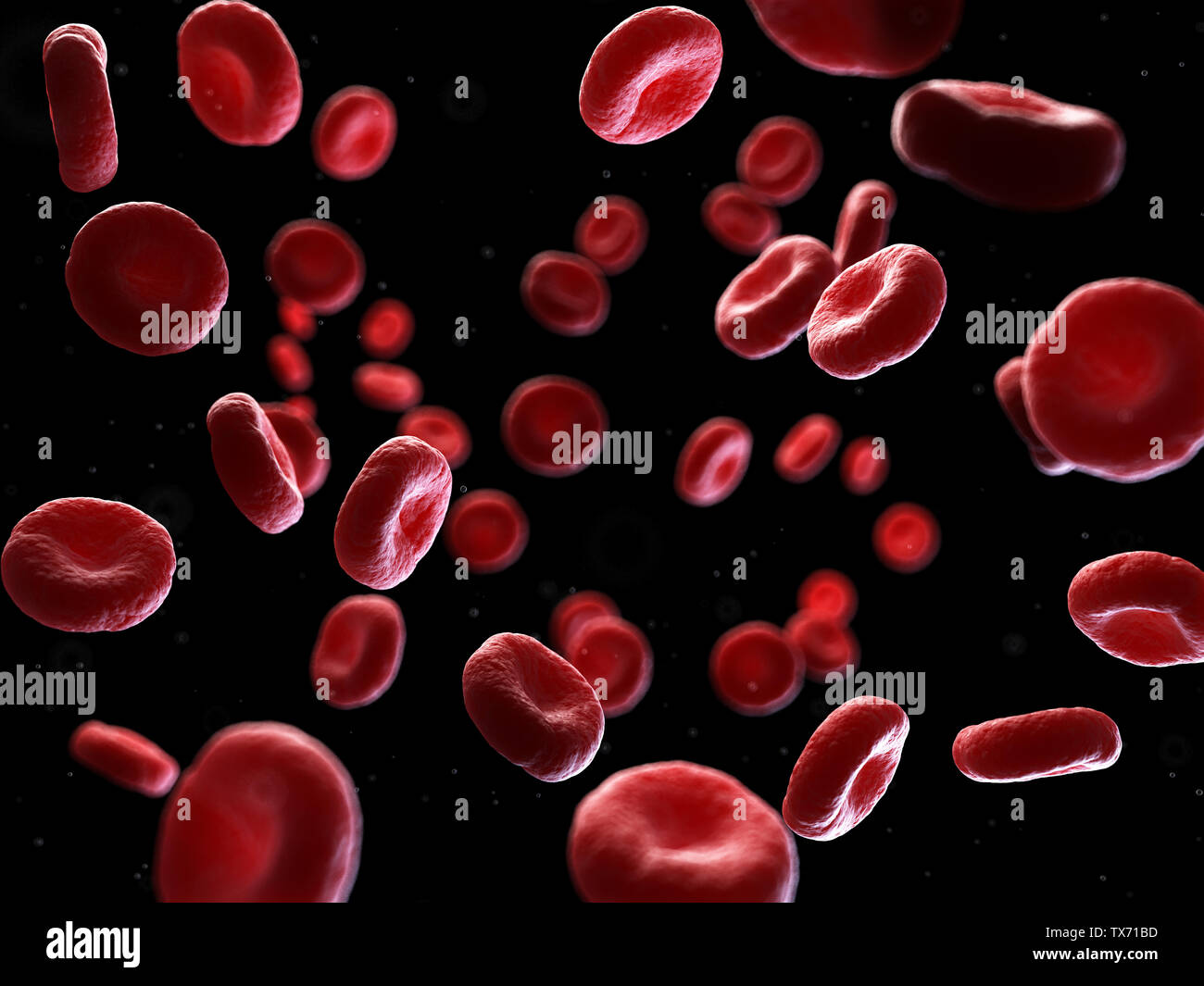 3d rendered medically accurate illustration of human blood cells Stock ...