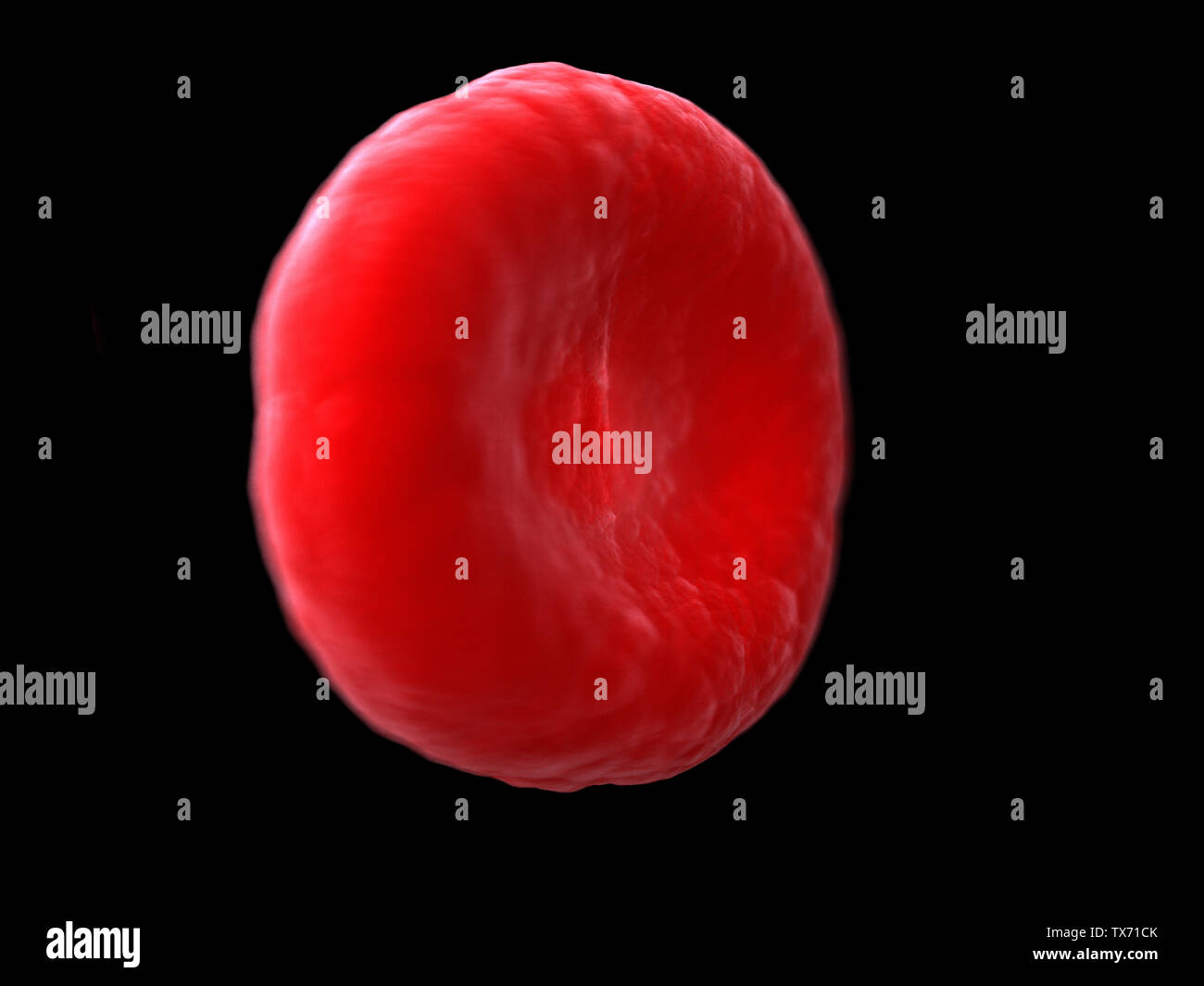 3d rendered medically accurate illustration of a human blood cell Stock ...