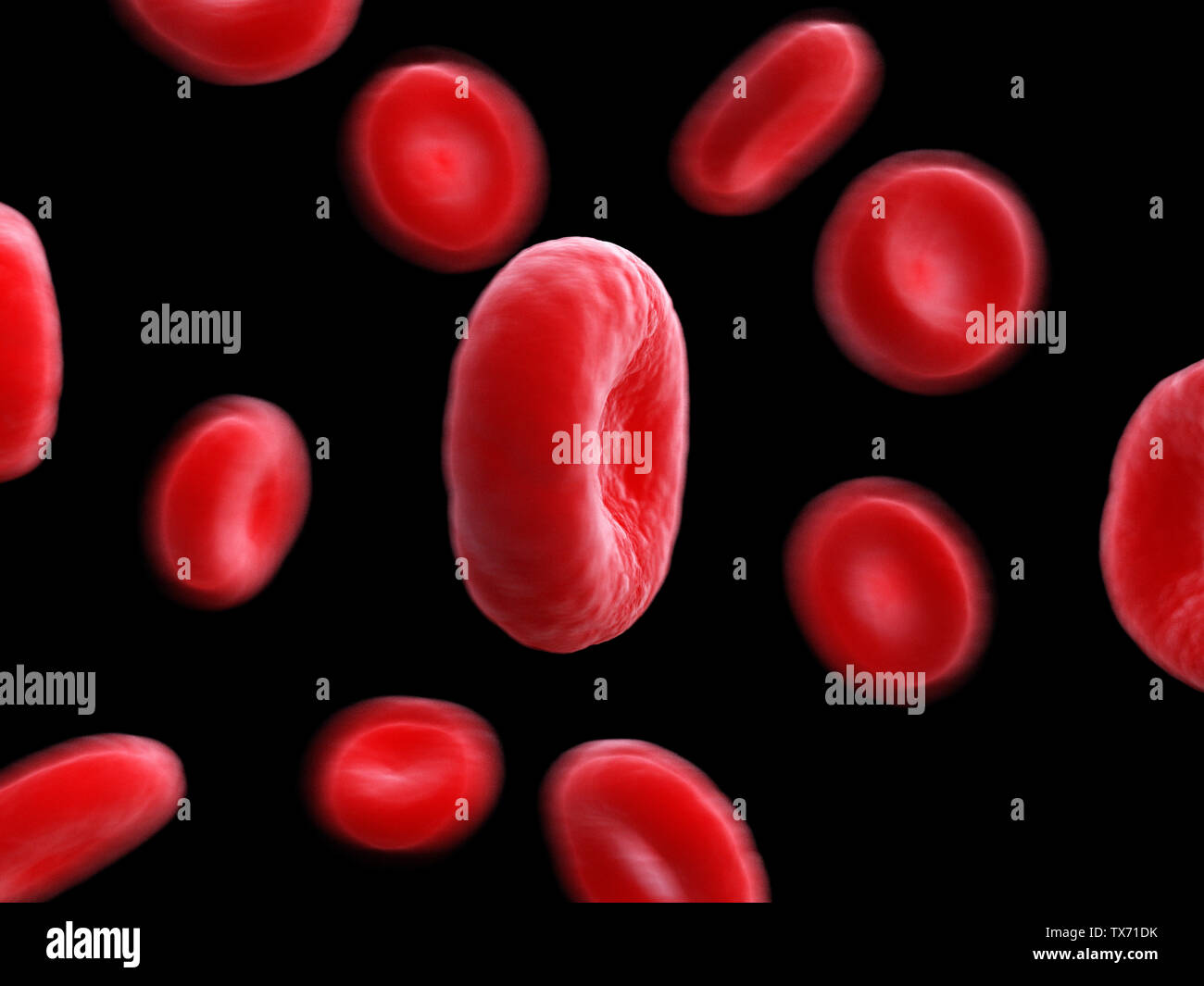 3d rendered medically accurate illustration of human blood cells Stock ...