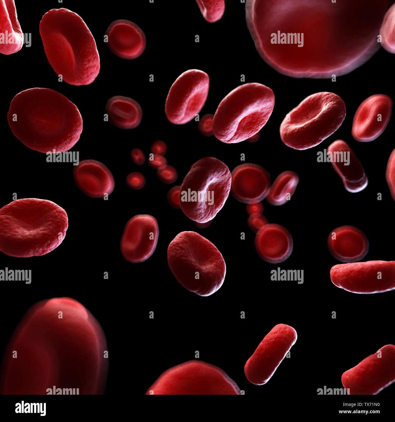 3d rendered medically accurate illustration of human blood cells Stock ...