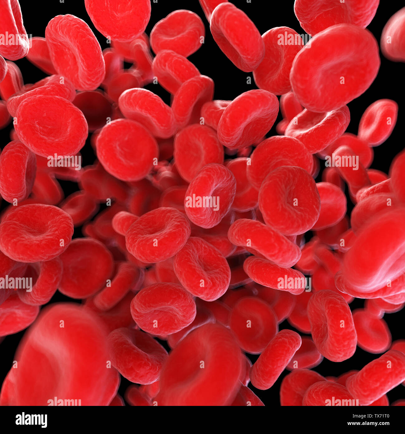 3d rendered medically accurate illustration of human blood cells Stock ...