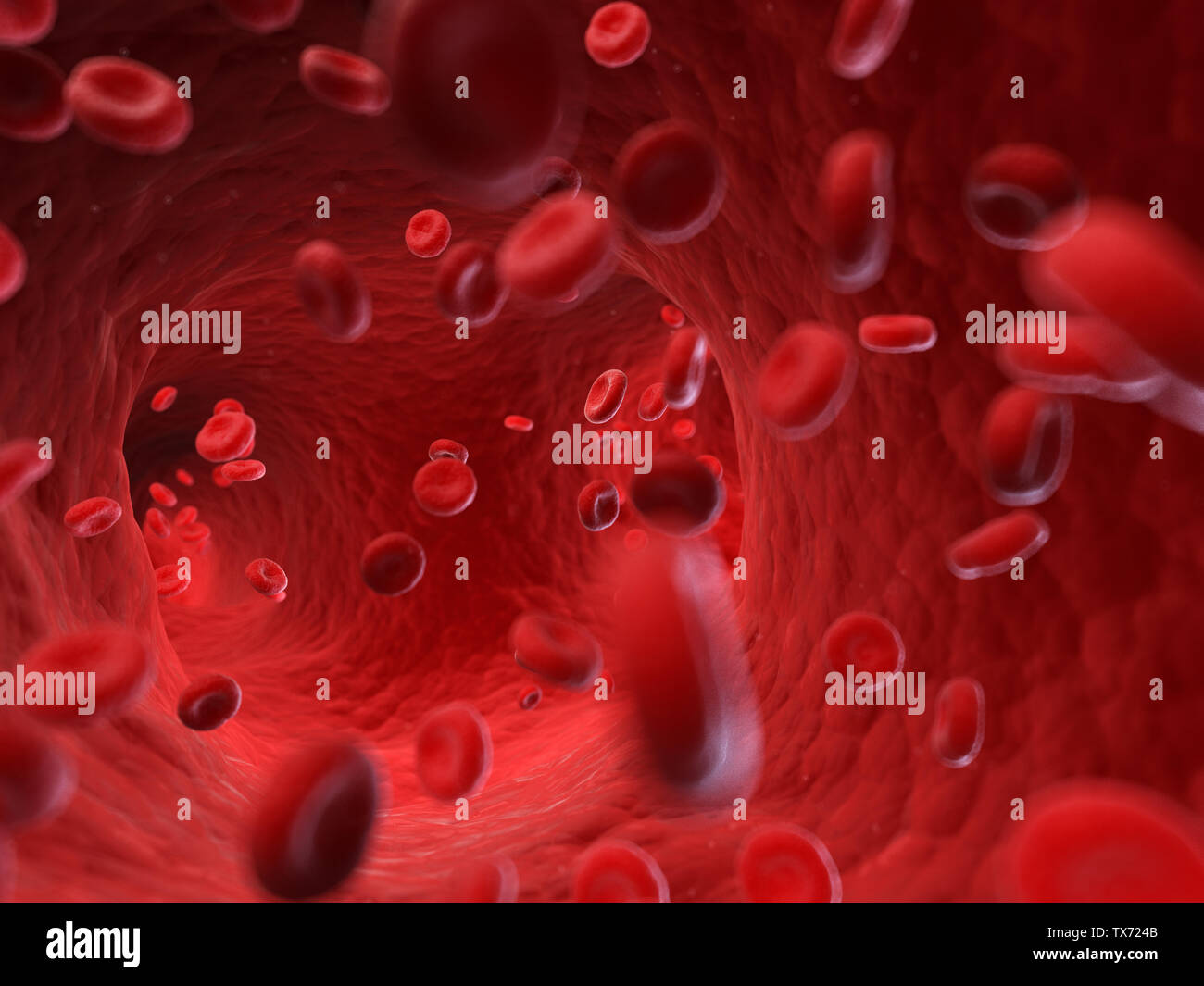 3d rendered, medically accurate illustration of human blood cells Stock ...