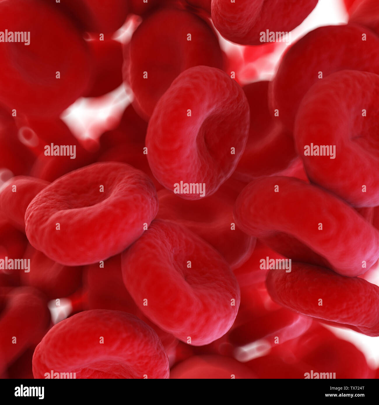3d rendered medically accurate illustration of human blood cells Stock ...