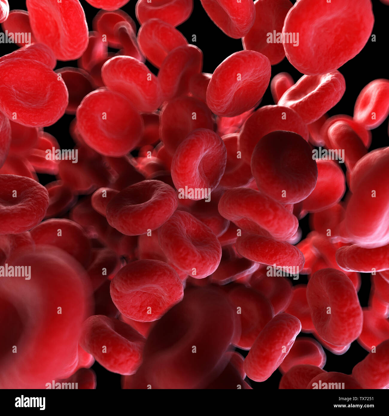 3d rendered medically accurate illustration of human blood cells Stock ...