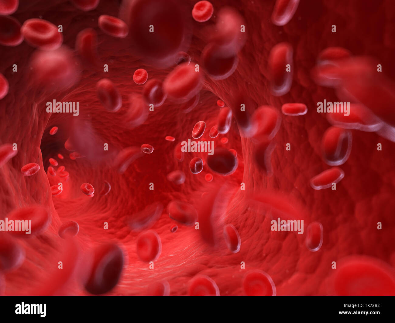 3d rendered, medically accurate illustration of the human blood Stock ...
