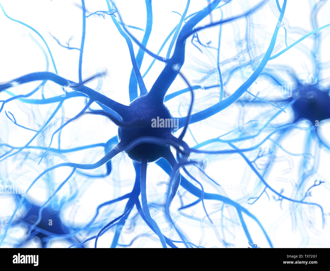 3d rendered medically accurate illustration of a human nerve cell Stock ...