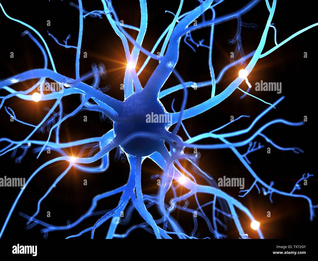 3d rendered medically accurate illustration of a human nerve cell Stock ...