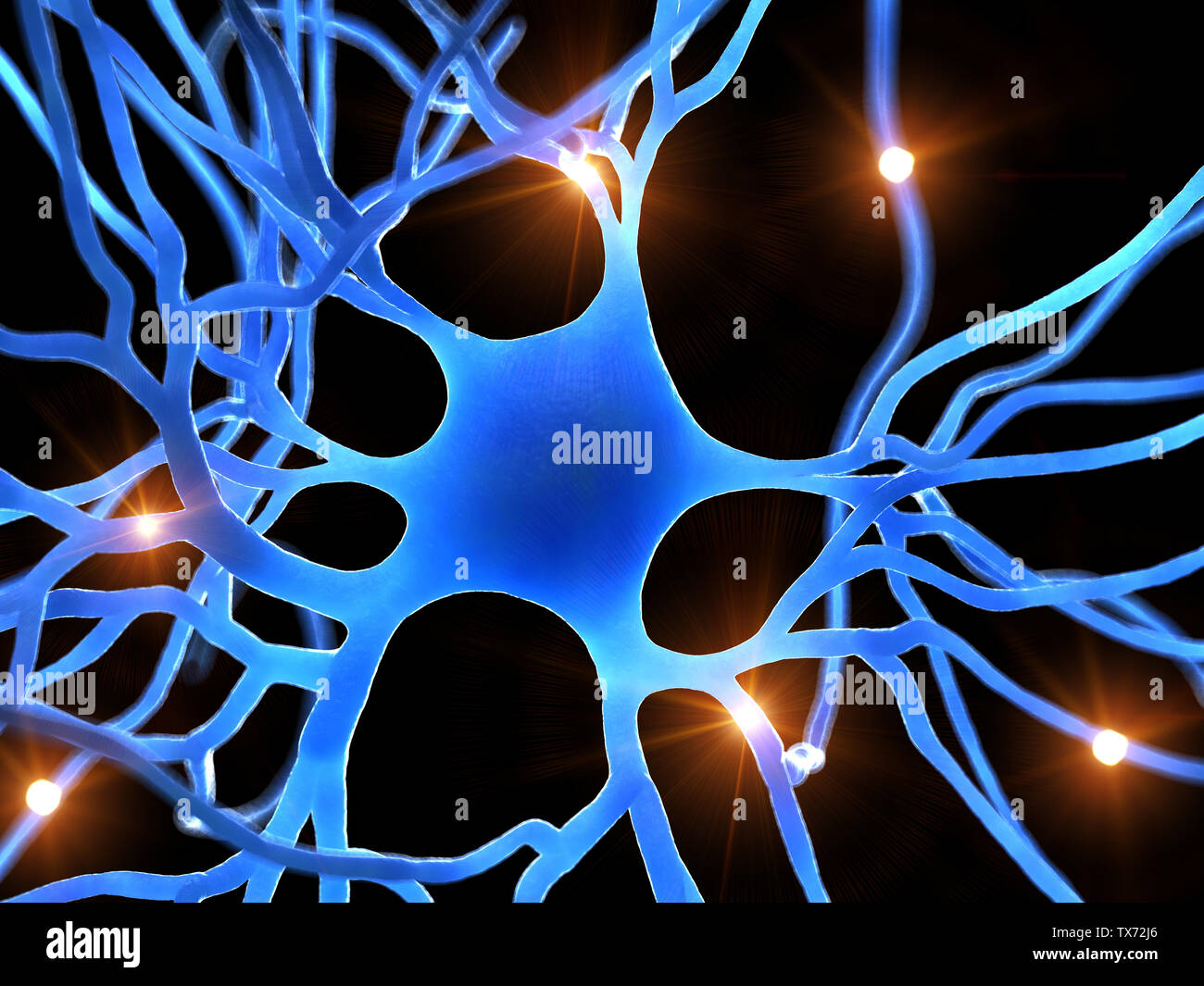 3d rendered medically accurate illustration of a human nerve cell Stock ...