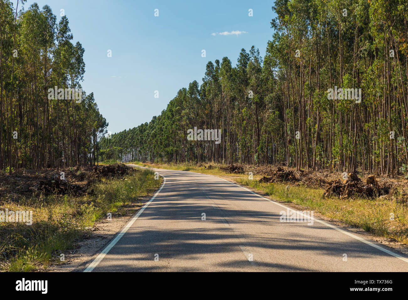 Asphalt country road in Portugallo, north area Stock Photo - Alamy