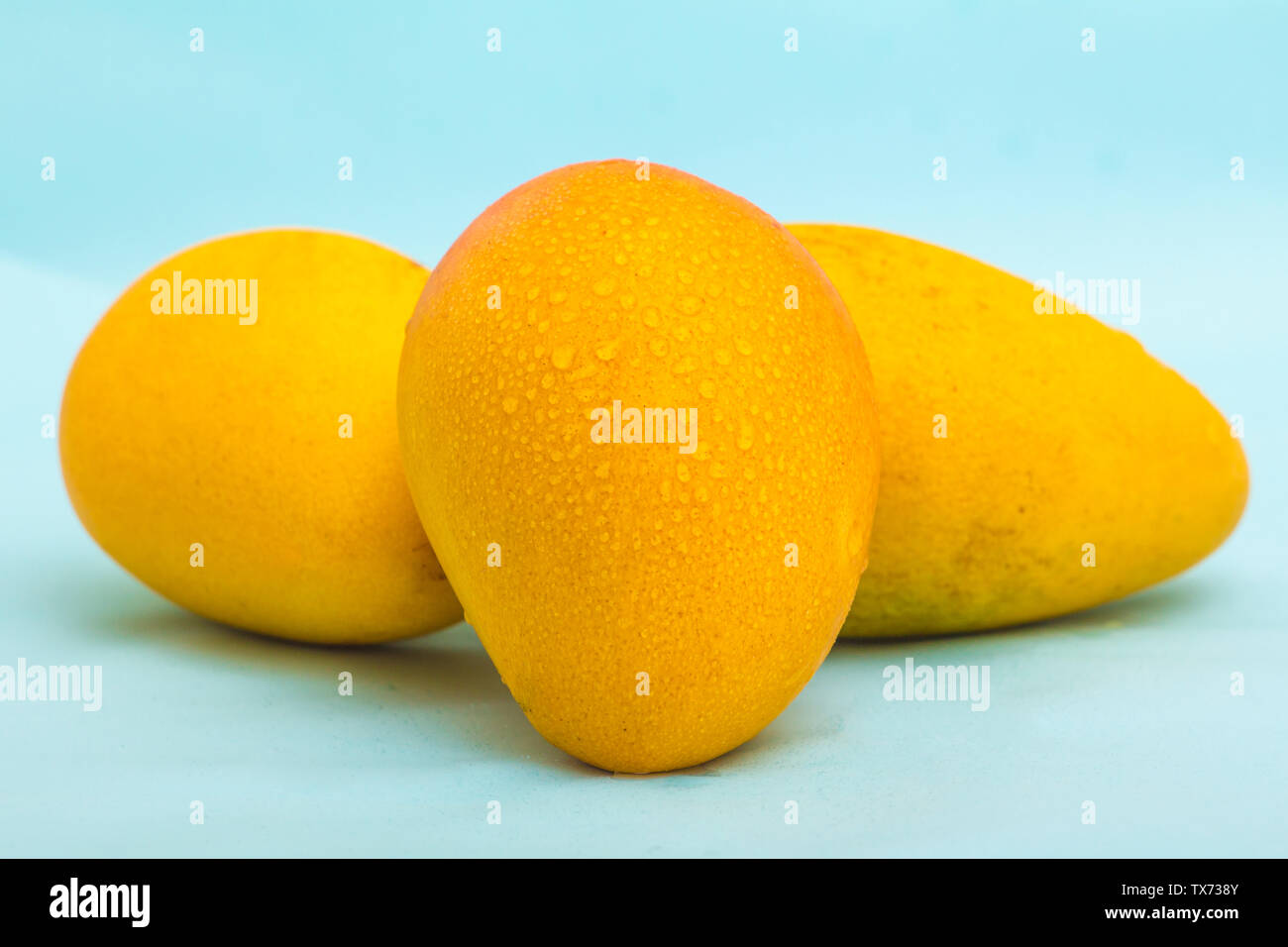 A ripe mango Stock Photo - Alamy