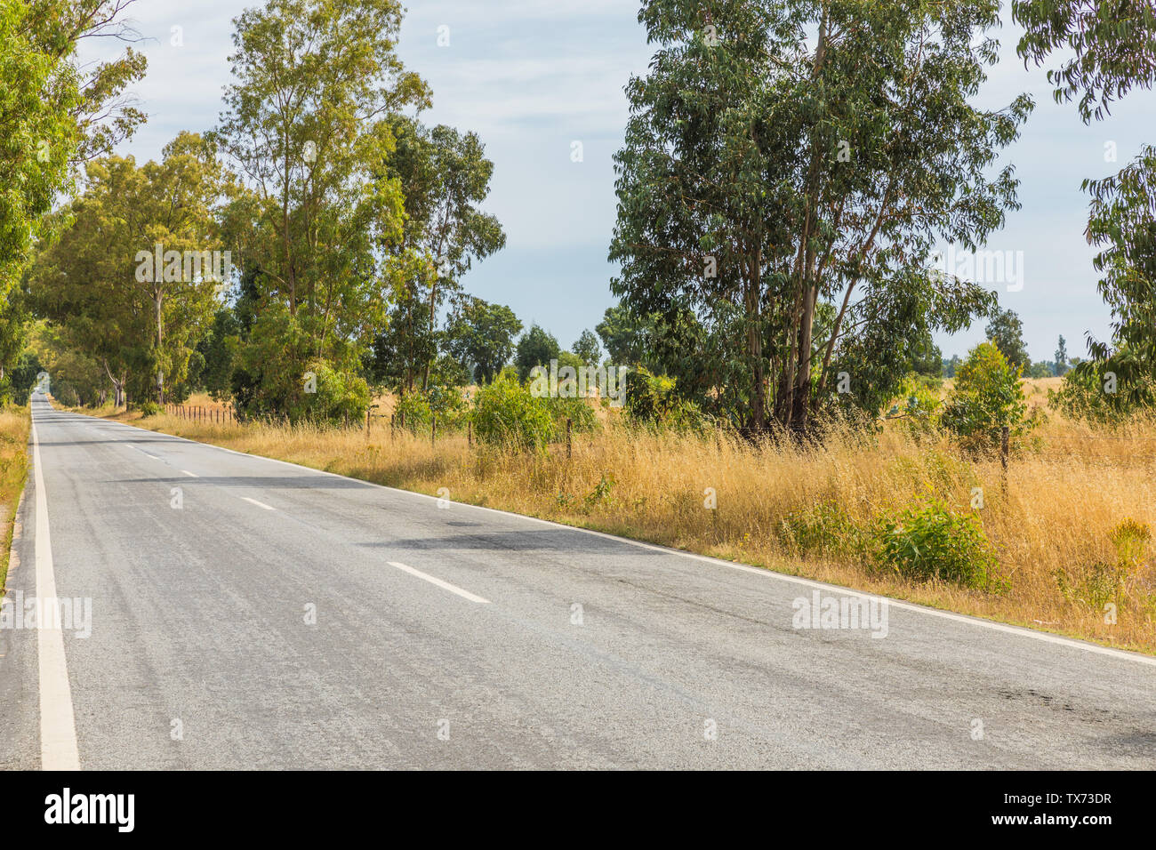 Cars straight hi-res stock photography and images - Alamy