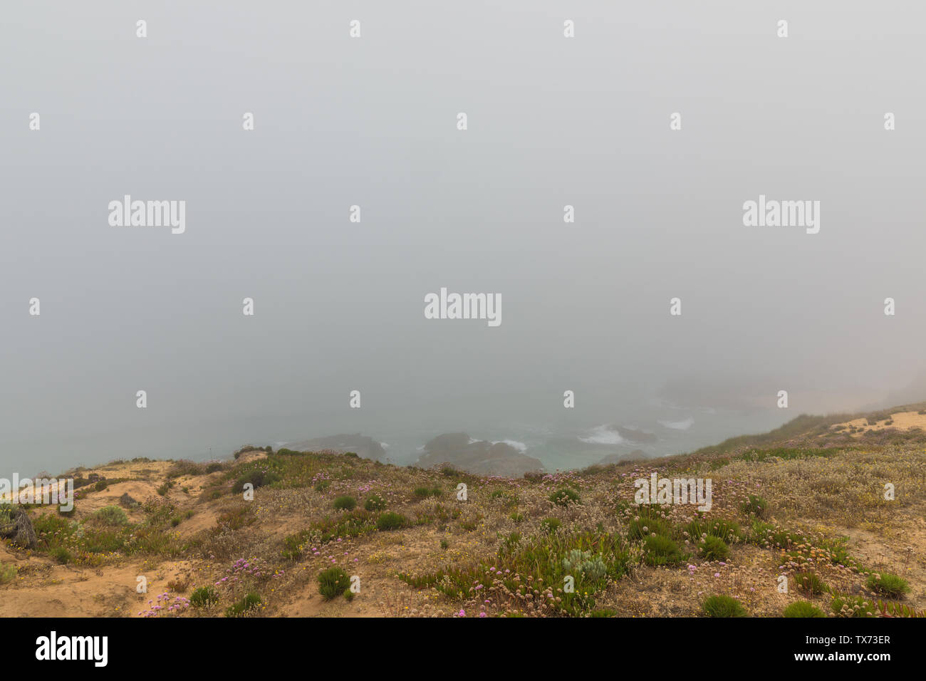 Fog on the ocean hi-res stock photography and images - Alamy