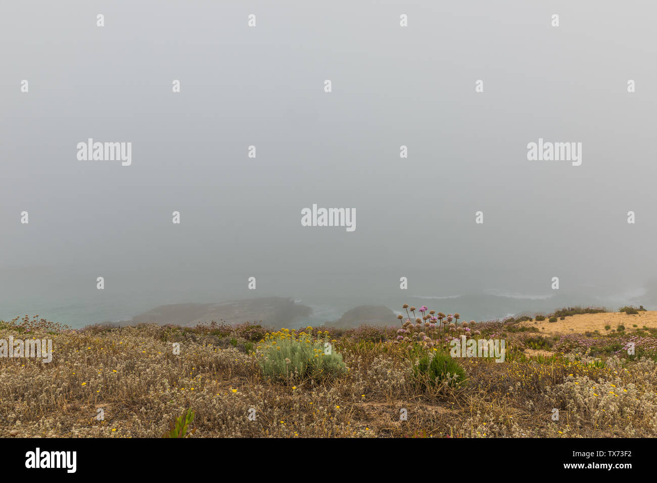 Fog on the ocean hi-res stock photography and images - Alamy