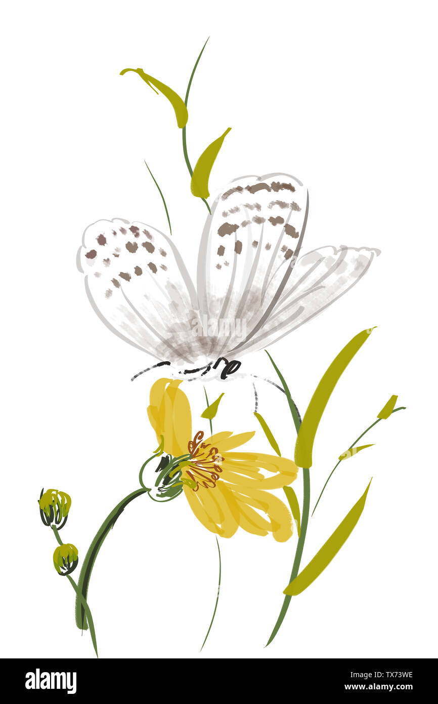 Close up hand drawn leaves pattern Cut Out Stock Images & Pictures - Alamy