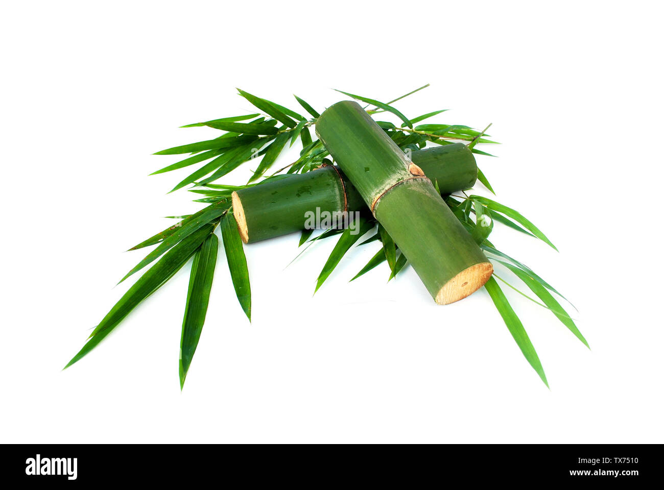 Sunlight bamboo Cut Out Stock Images & Pictures - Alamy