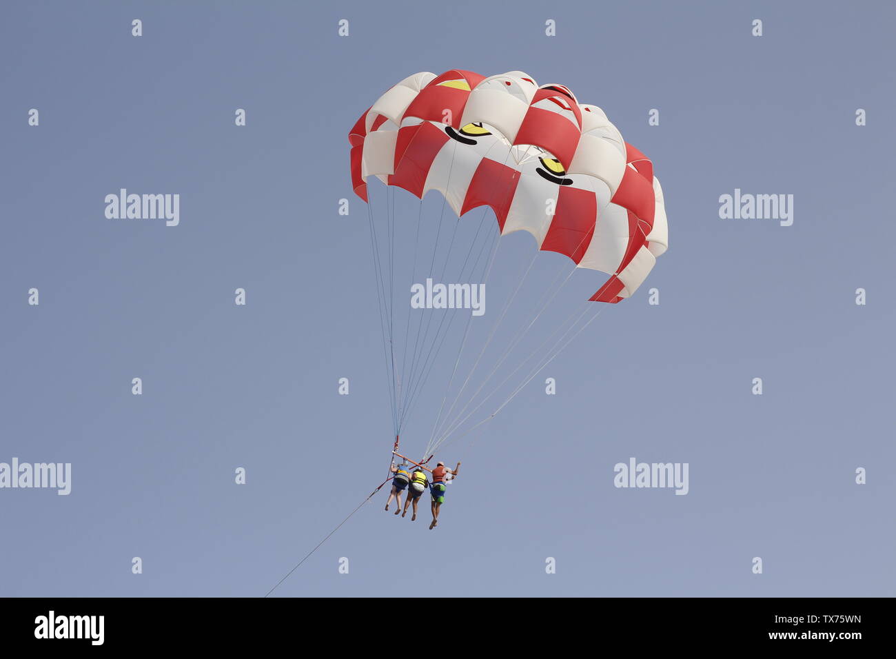 Parasales - water parachutes for outdoor activities. In the blue sky a ...