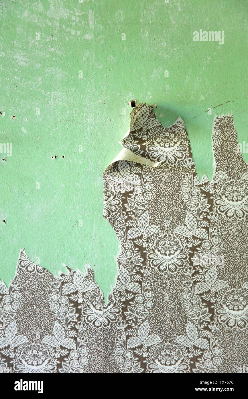 Detail of the torn wallpapers on the old green wall Stock Photo - Alamy