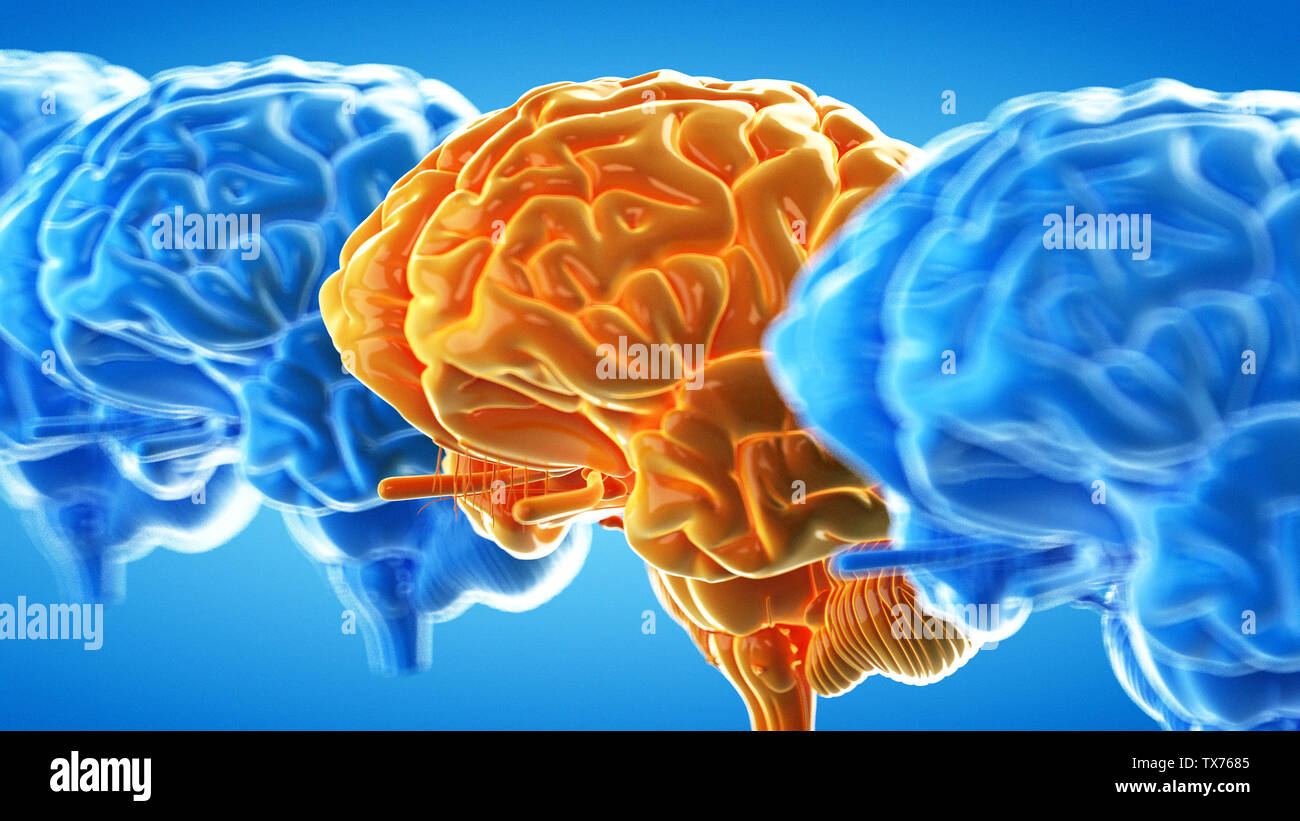 3d rendered medically accurate illustration of an abstract orange brain ...