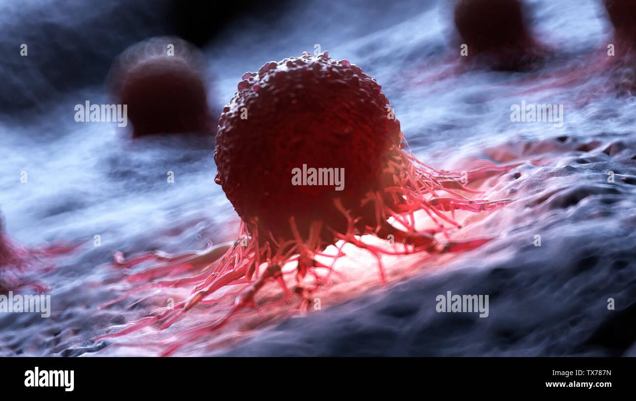 3d rendered illustration of a human cancer cell Stock Photo - Alamy