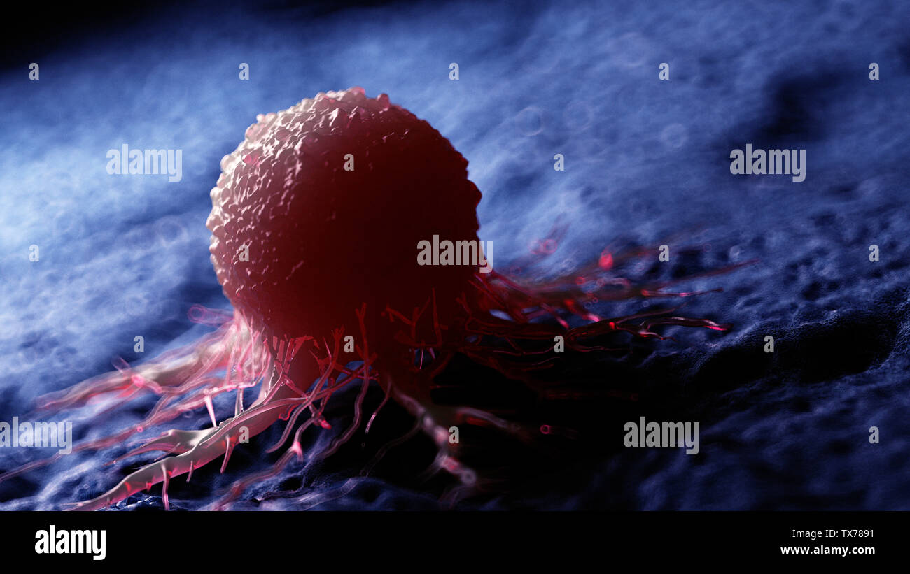 3d rendered medically accurate illustration of a cancer cell Stock ...