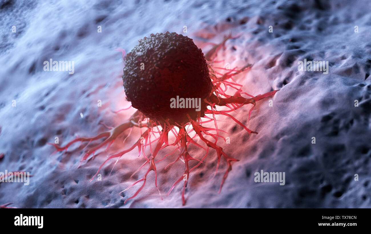 3d rendered illustration of a human cancer cell Stock Photo - Alamy