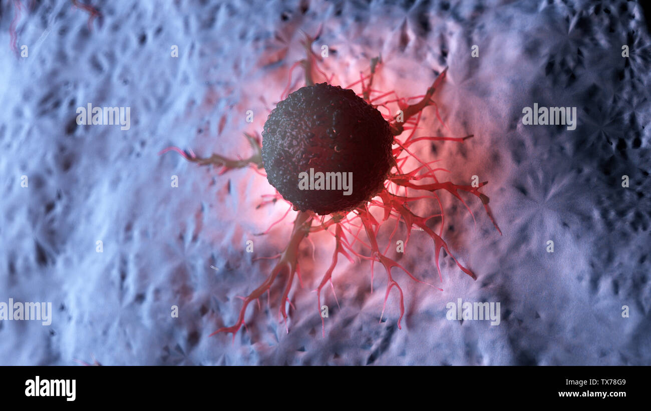 3d rendered illustration of a human cancer cell Stock Photo - Alamy