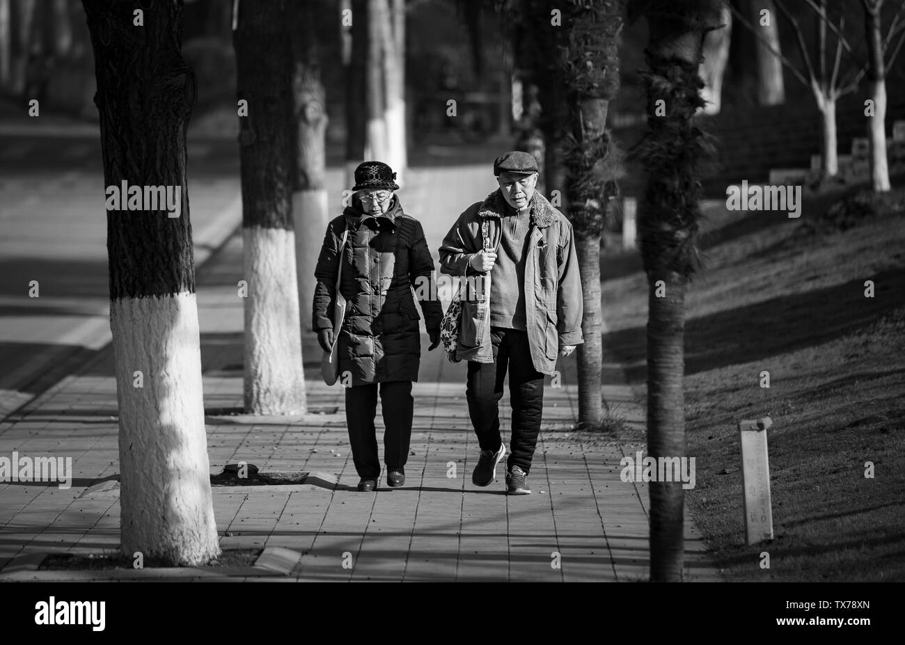 Two trees on walking Black and White Stock Photos & Images - Alamy