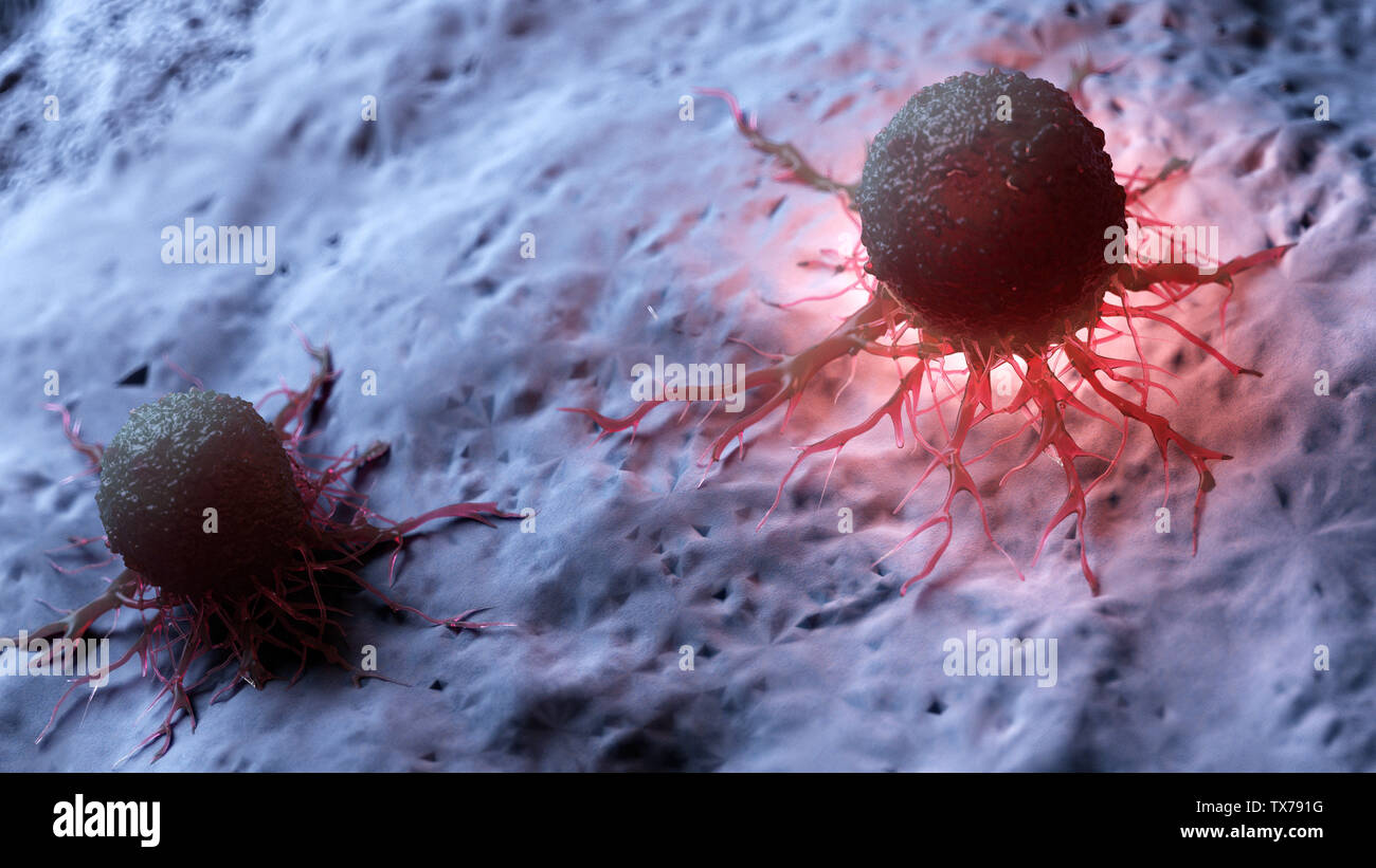 3d rendered illustration of a human cancer cell Stock Photo - Alamy