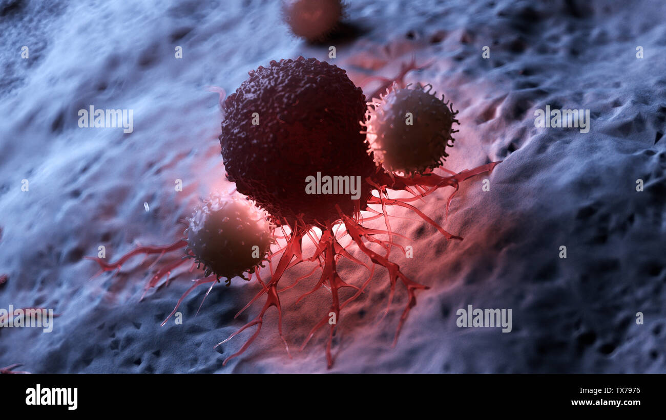 3d rendered medically accurate illustration of white blood cells ...