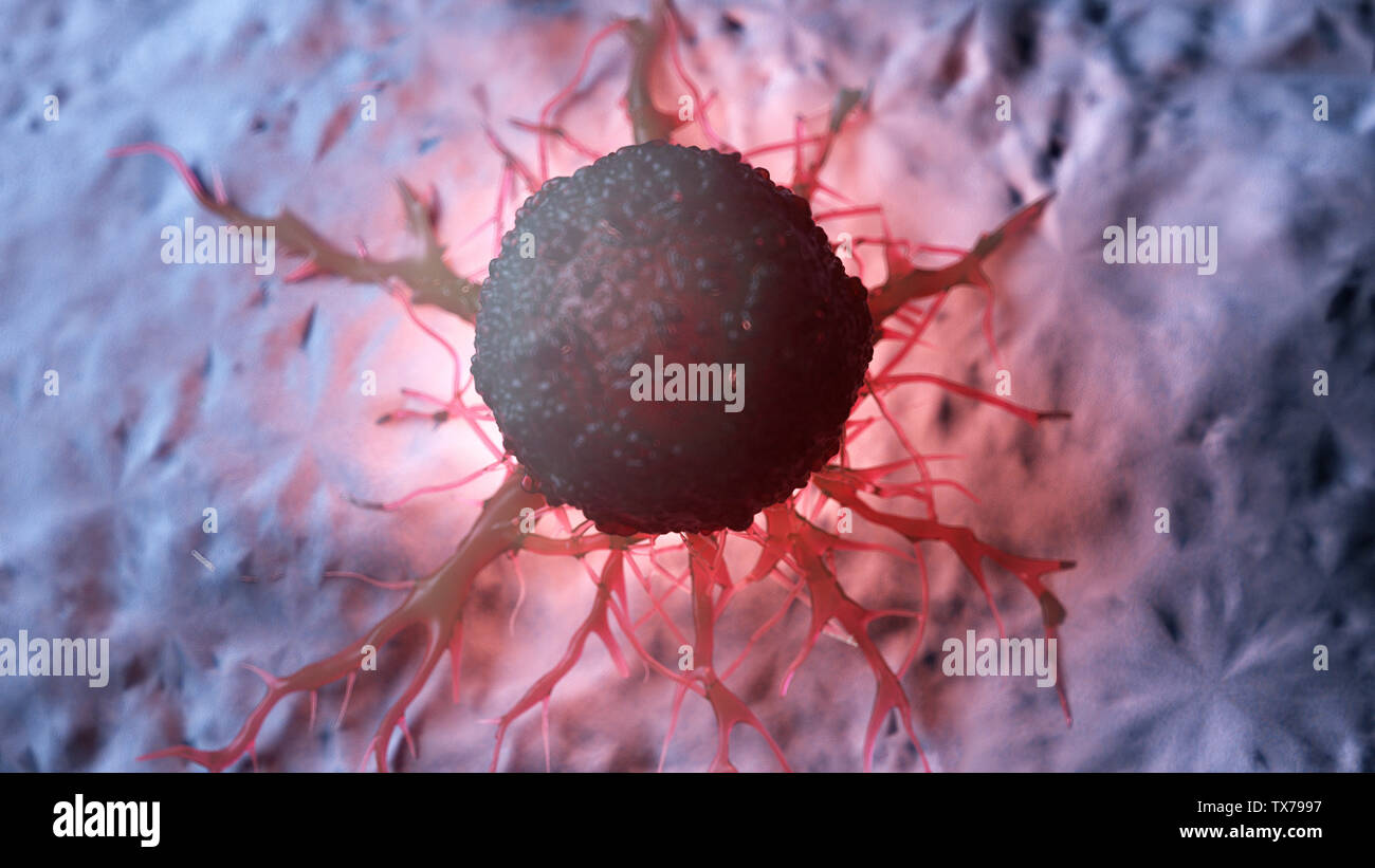 3d rendered illustration of a human cancer cell Stock Photo - Alamy